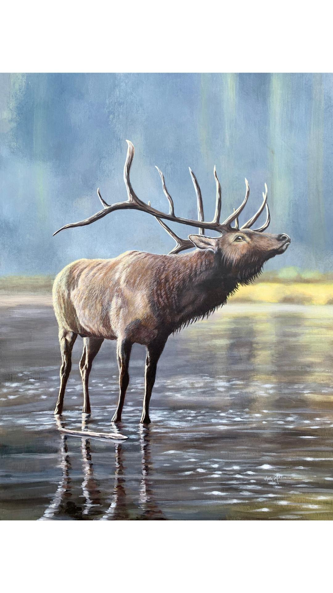 Holly Allen Studio Fine Art