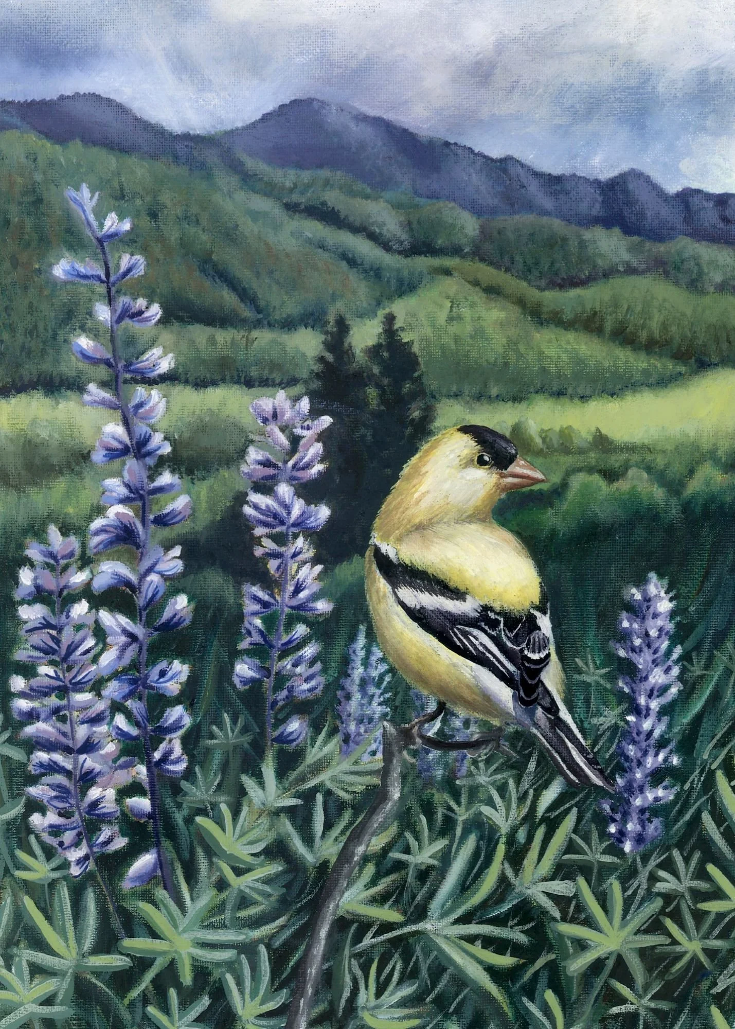 Fine Art Holly Allen Studio