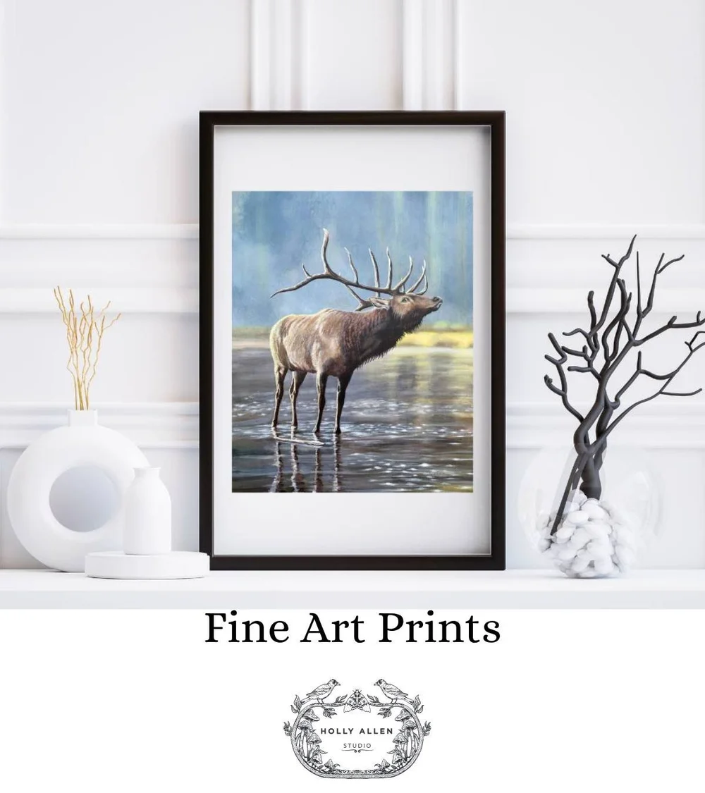 Fine Art Holly Allen Studio