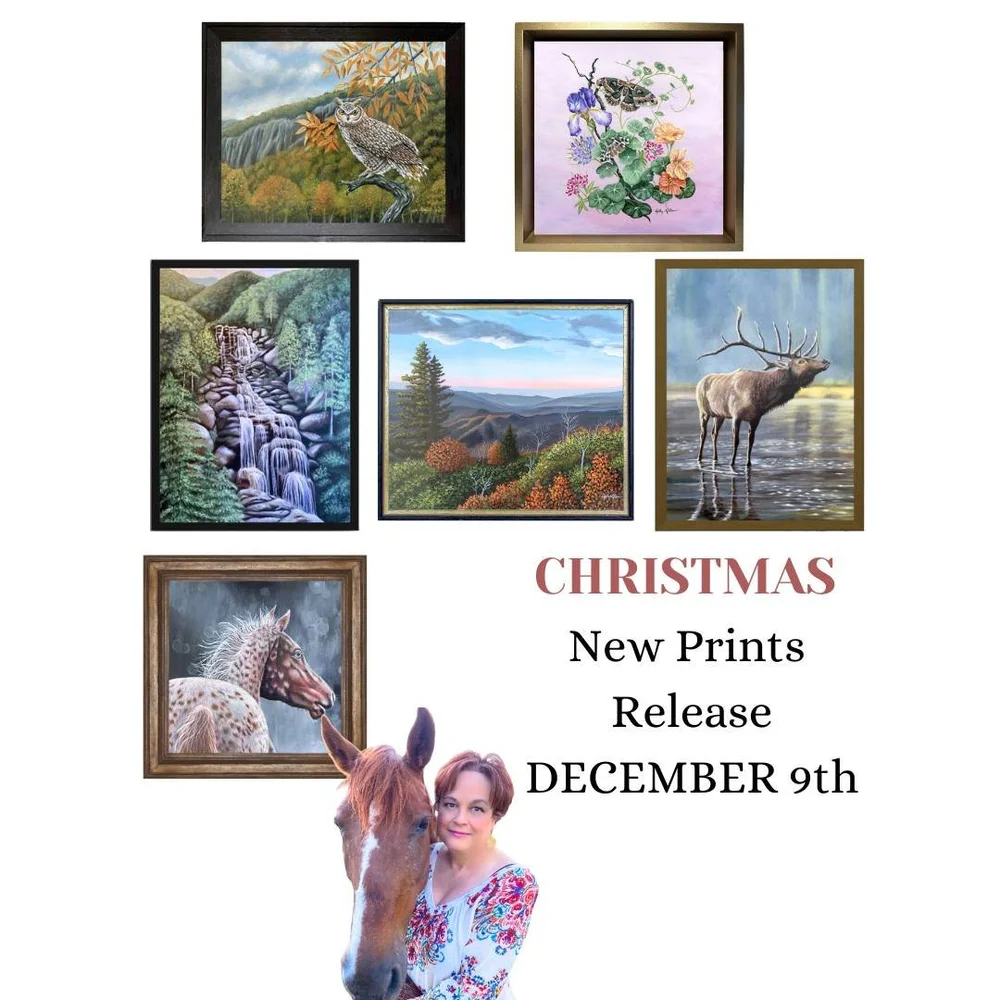 Fine Art Holly Allen Studio