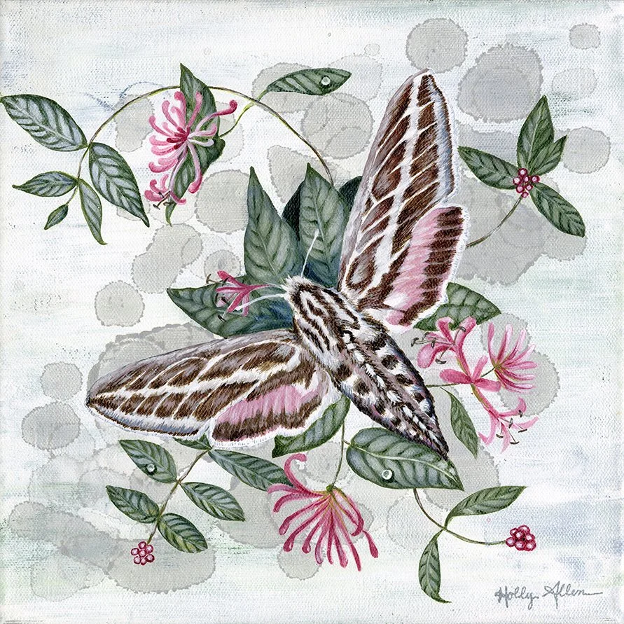 Fine Art Holly Allen Studio