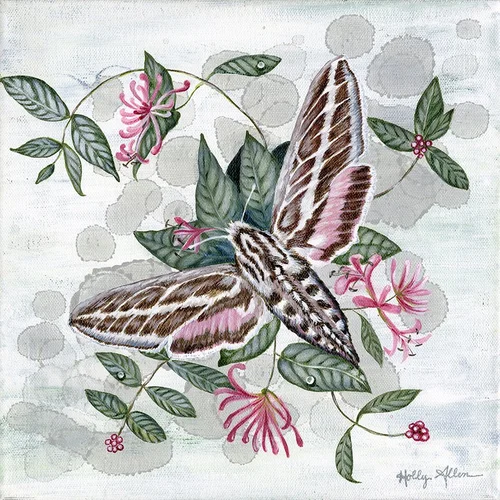 Fine Art Holly Allen Studio