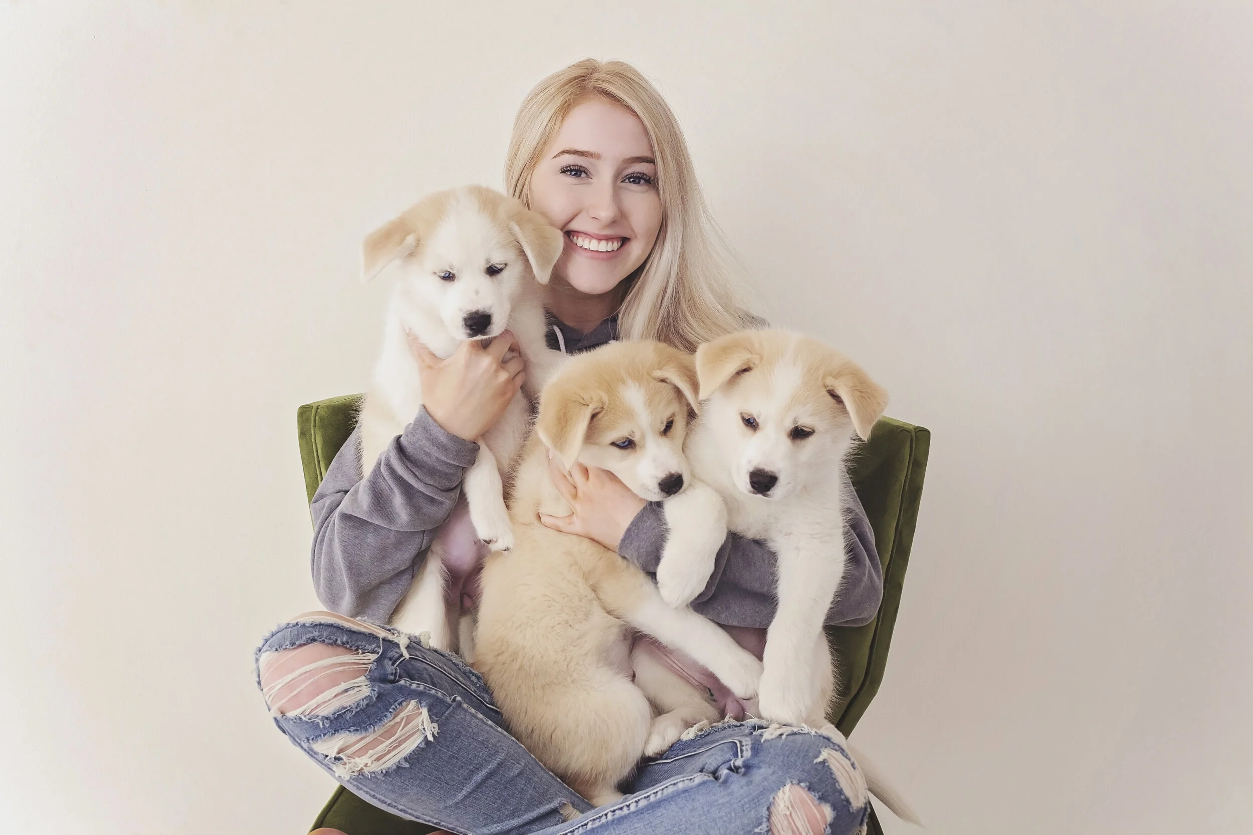 About Us — Madison DogMa