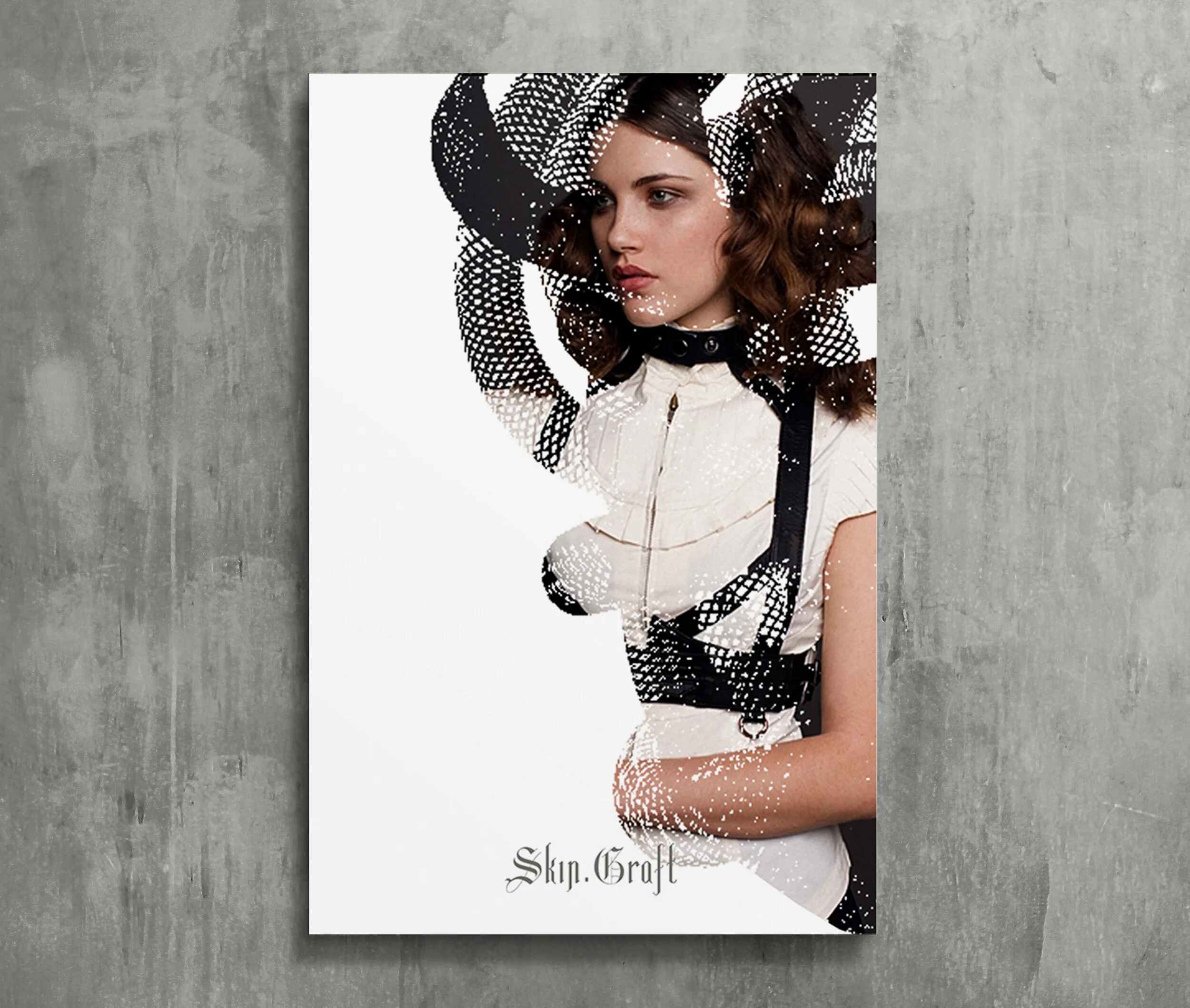 SkinGraft — DesignWerkHaus ::: amy kyoko reichenbach