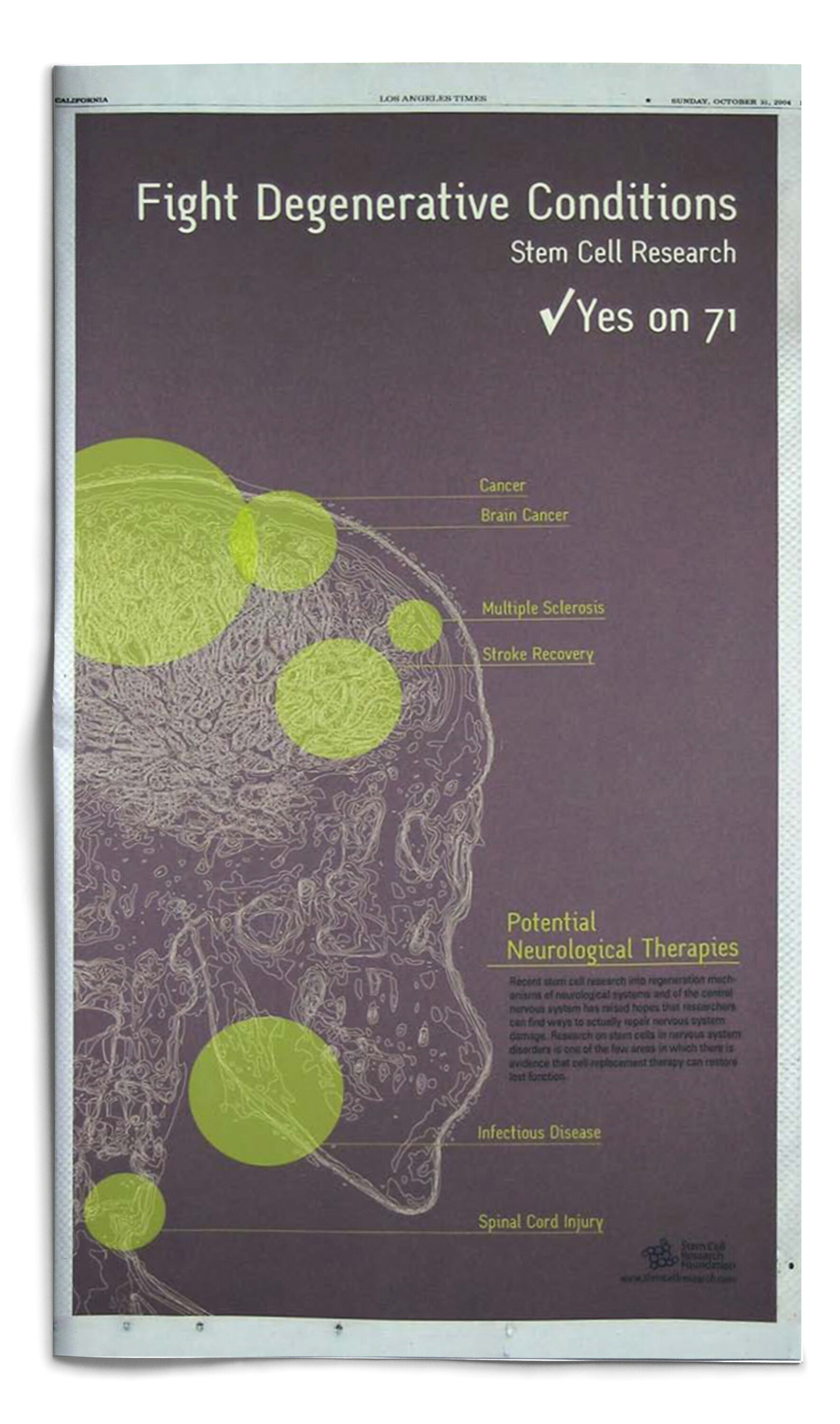 Stem Cell Research — DesignWerkHaus ::: amy kyoko reichenbach