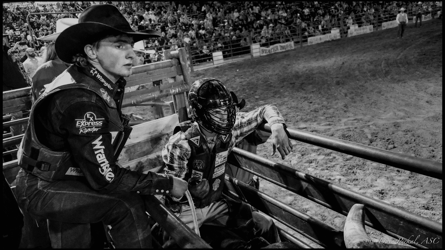 Stills — Dave Perkal, ASC