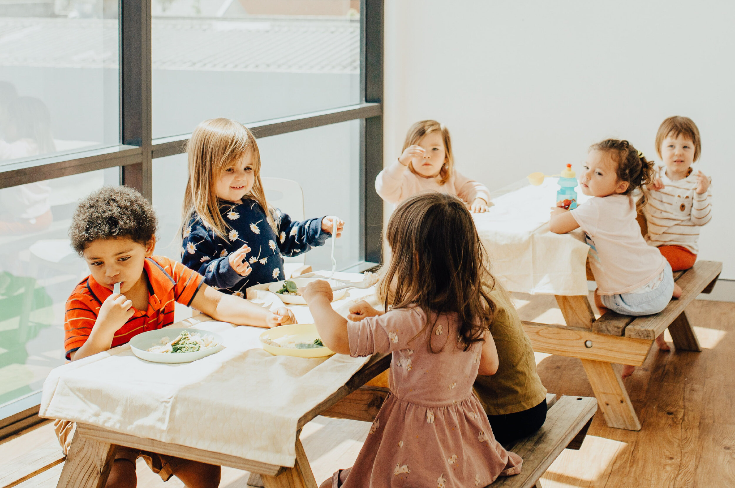 PADDOCK TO PLATE — ORCHARD EARLY LEARNING CENTRE