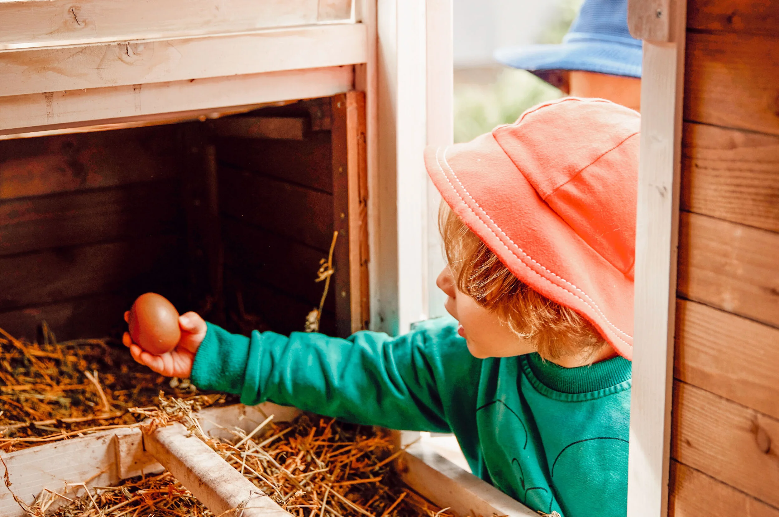 PADDOCK TO PLATE — ORCHARD EARLY LEARNING CENTRE