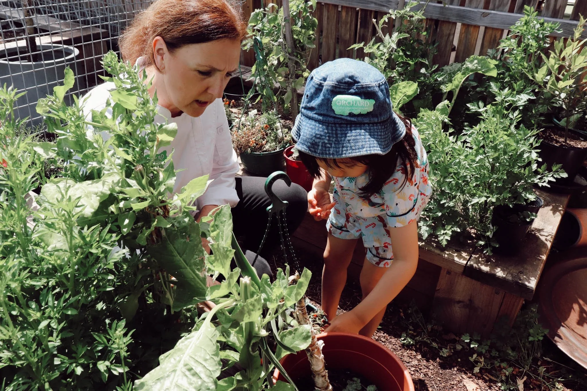 PADDOCK TO PLATE — ORCHARD EARLY LEARNING CENTRE