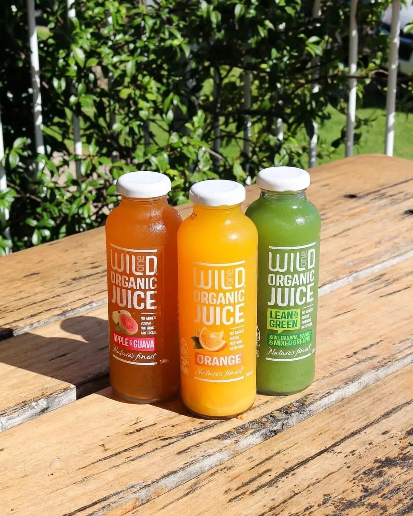 Wild One Beverages | Australia's Favourite Healthy Beverage Co.