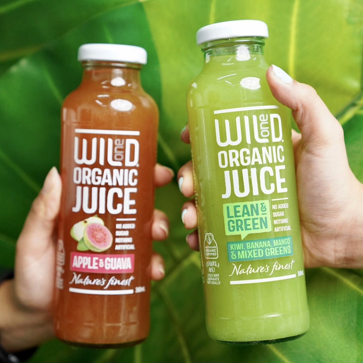 Contact Us — Wild One Beverages