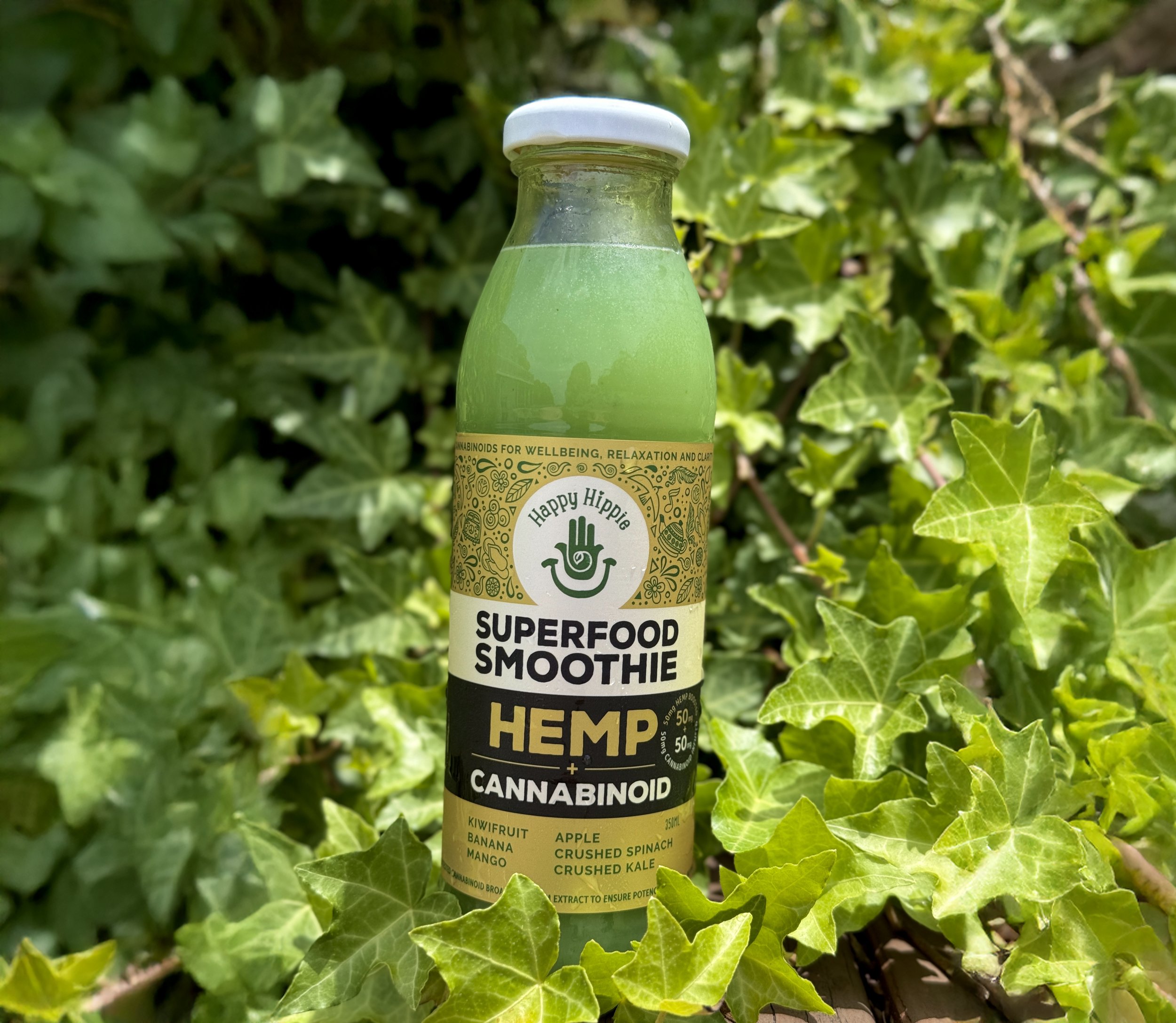 Shop Online | Healthy Organic Drinks — Wild One Beverages