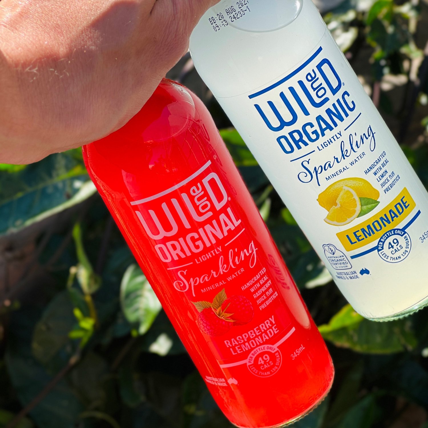 Shop Online | Healthy Organic Drinks — Wild One Beverages