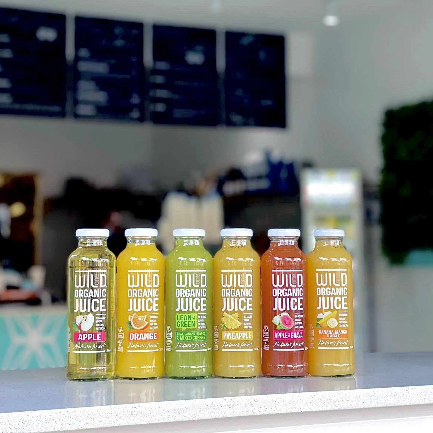 Shop Online | Healthy Organic Drinks — Wild One Beverages