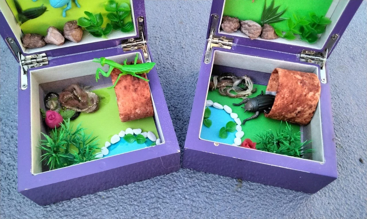 General 1 — Your Site Title