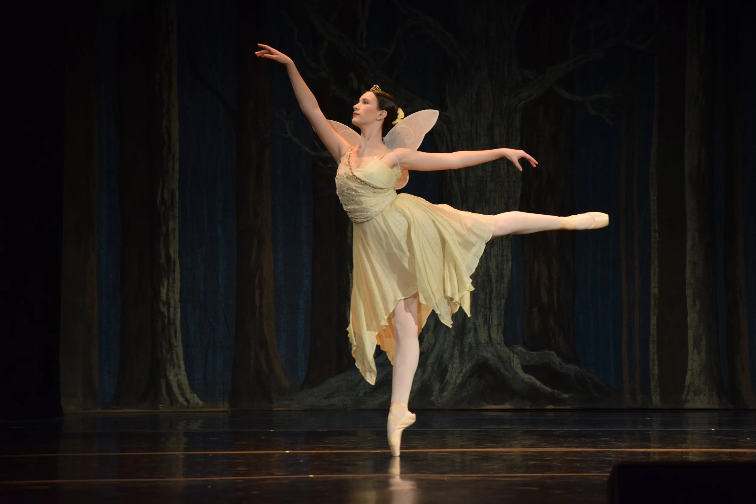 Summer Ballet Program — Ballet School of Kingston