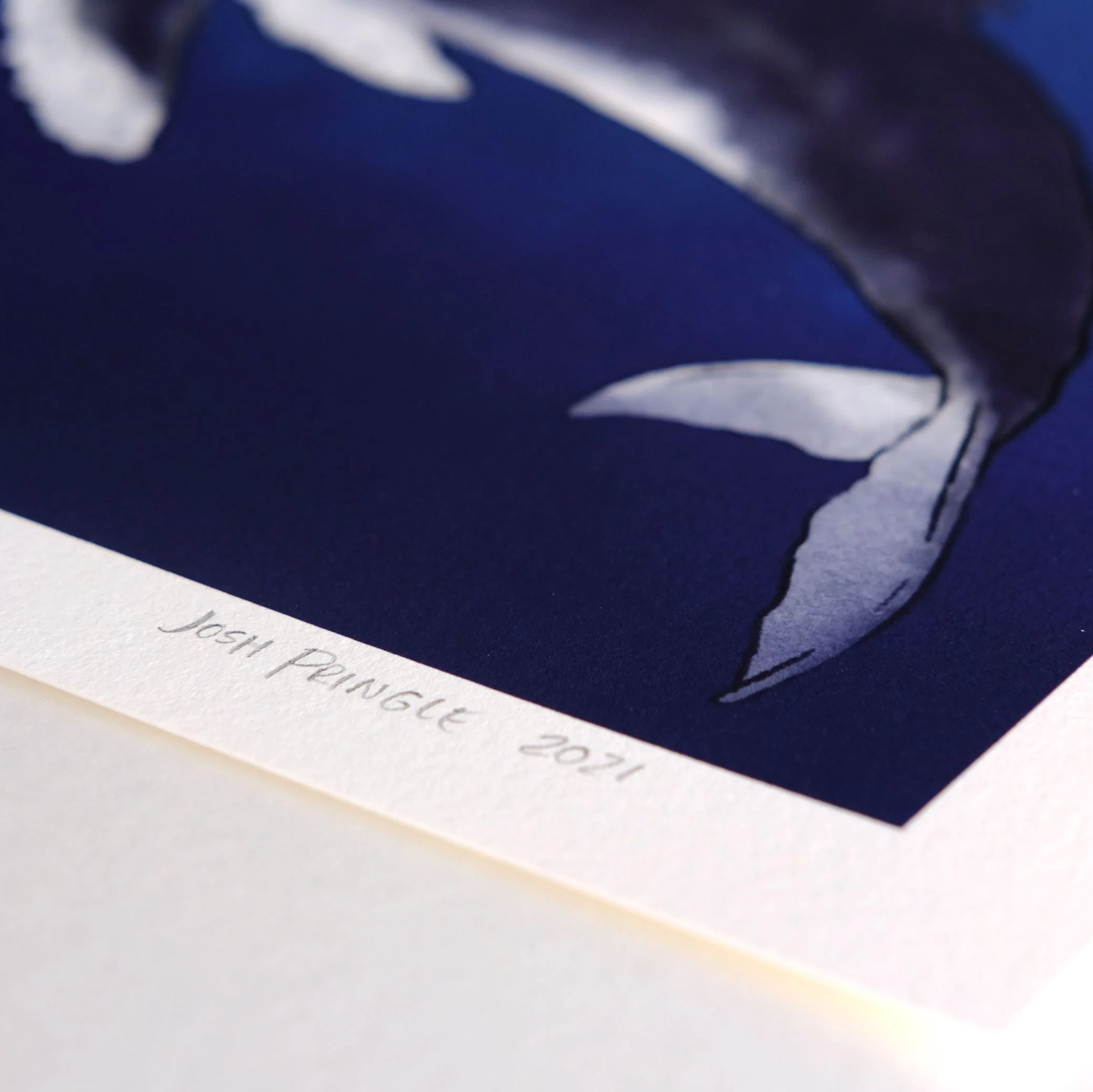 Josh Pringle - Illustrator
