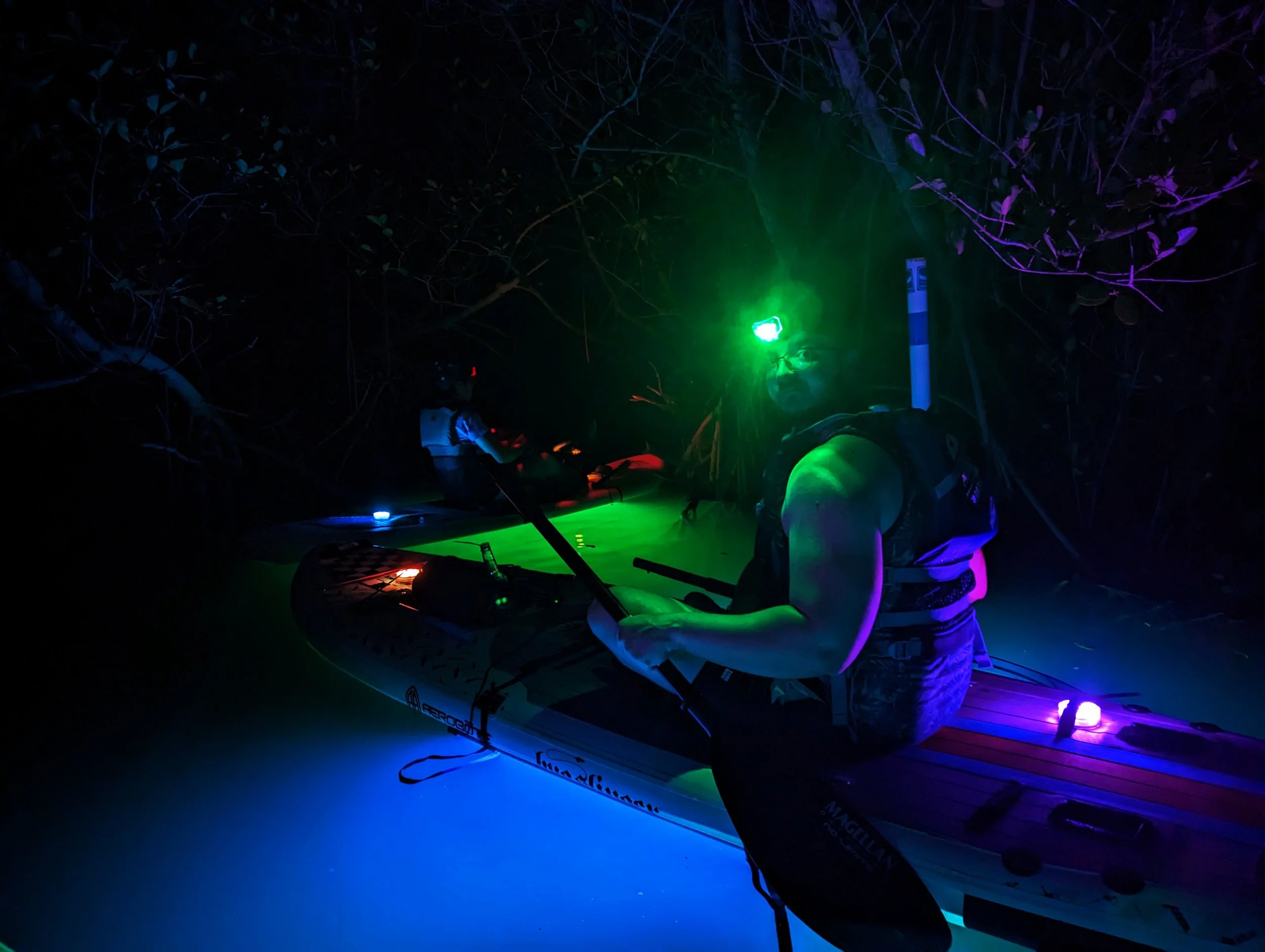Bioluminescent Comb Jellies Guided Kayak / paddleboard tour near ...