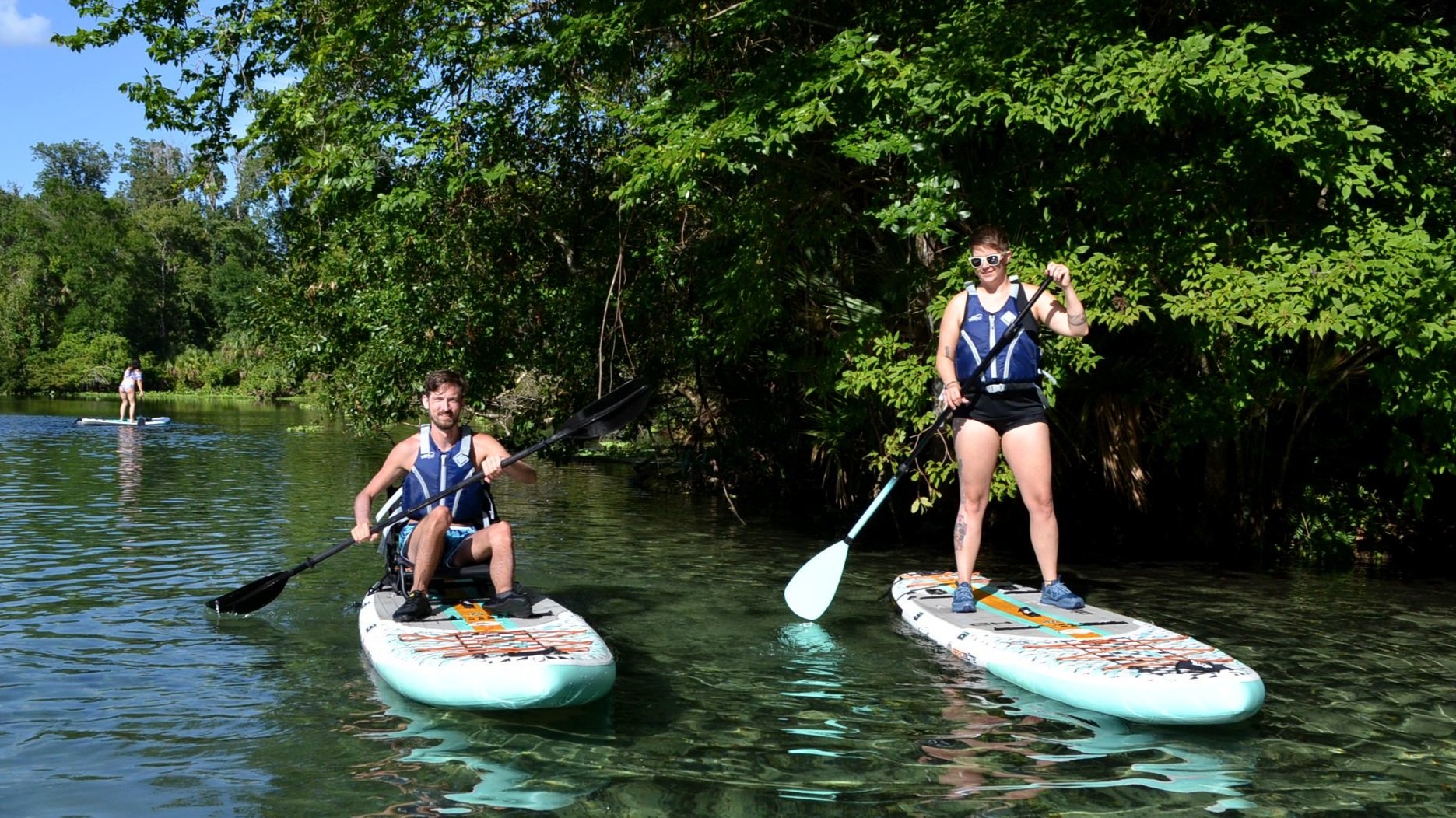 A Paddle in Paradise (Paddle Board / Kayak Eco Tours)