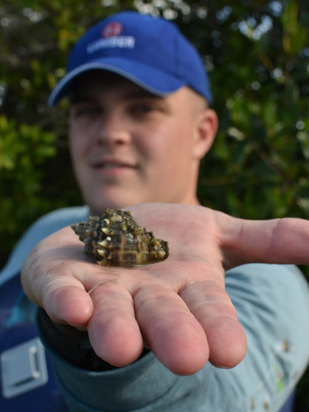A Paddle in Paradise (Paddle Board / Kayak Eco Tours)
