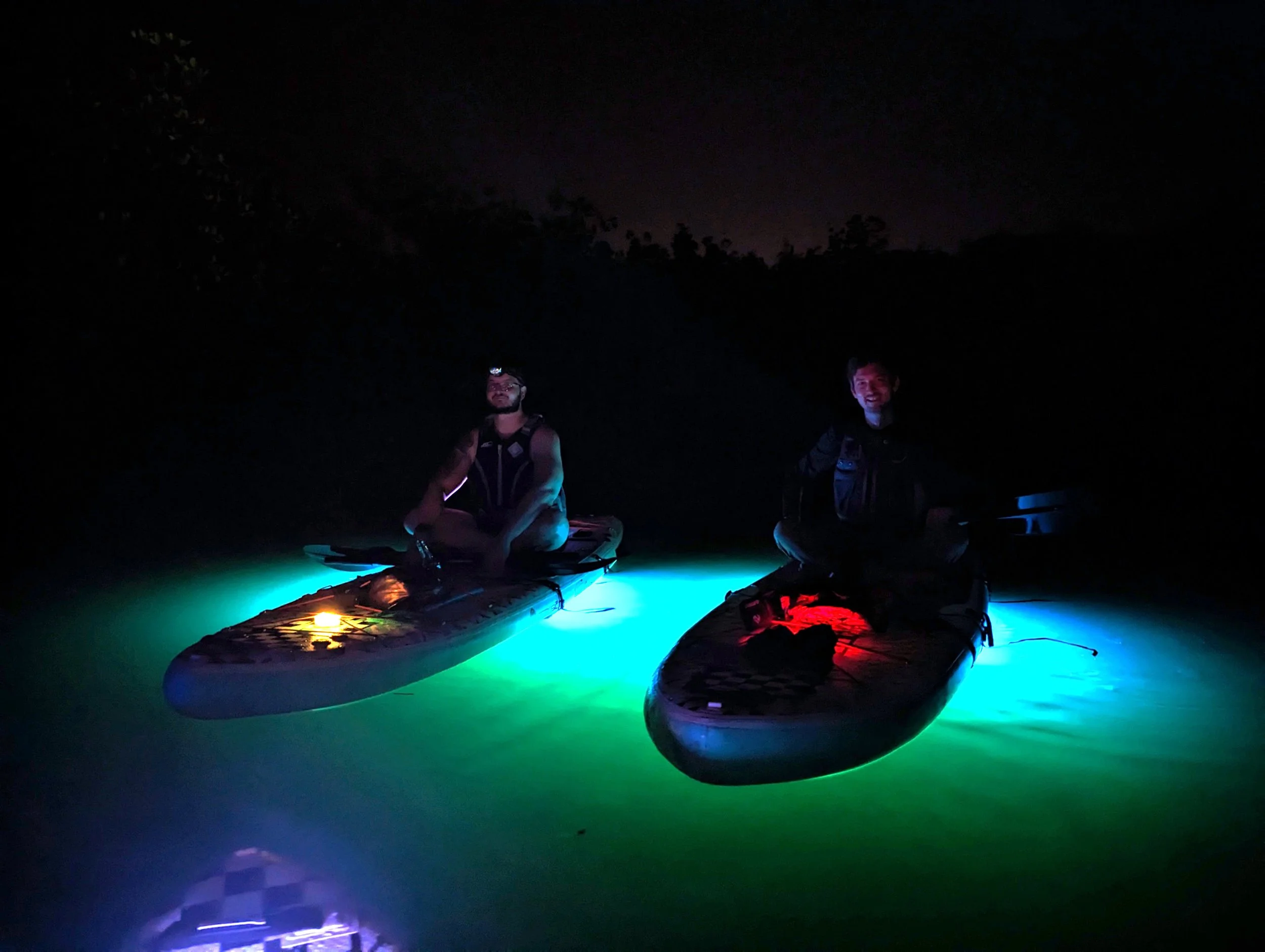 Bioluminescent Comb Jellies Guided Kayak / paddleboard tour near ...