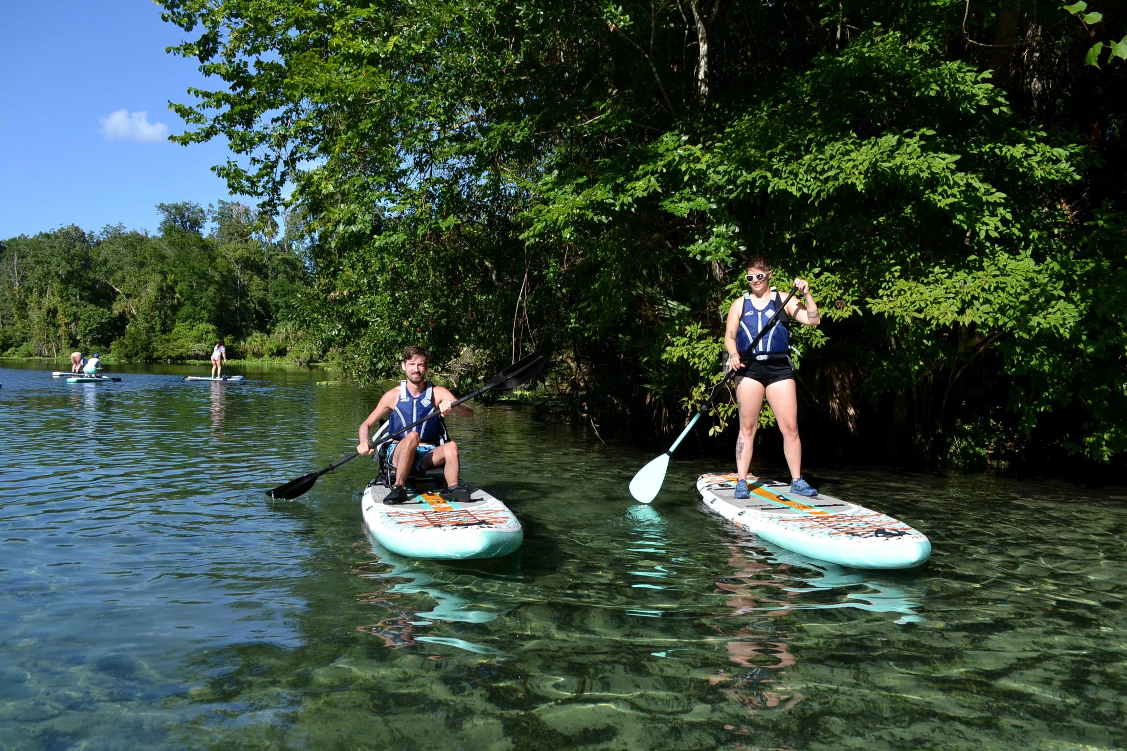 A Paddle in Paradise (Paddle Board / Kayak Eco Tours)