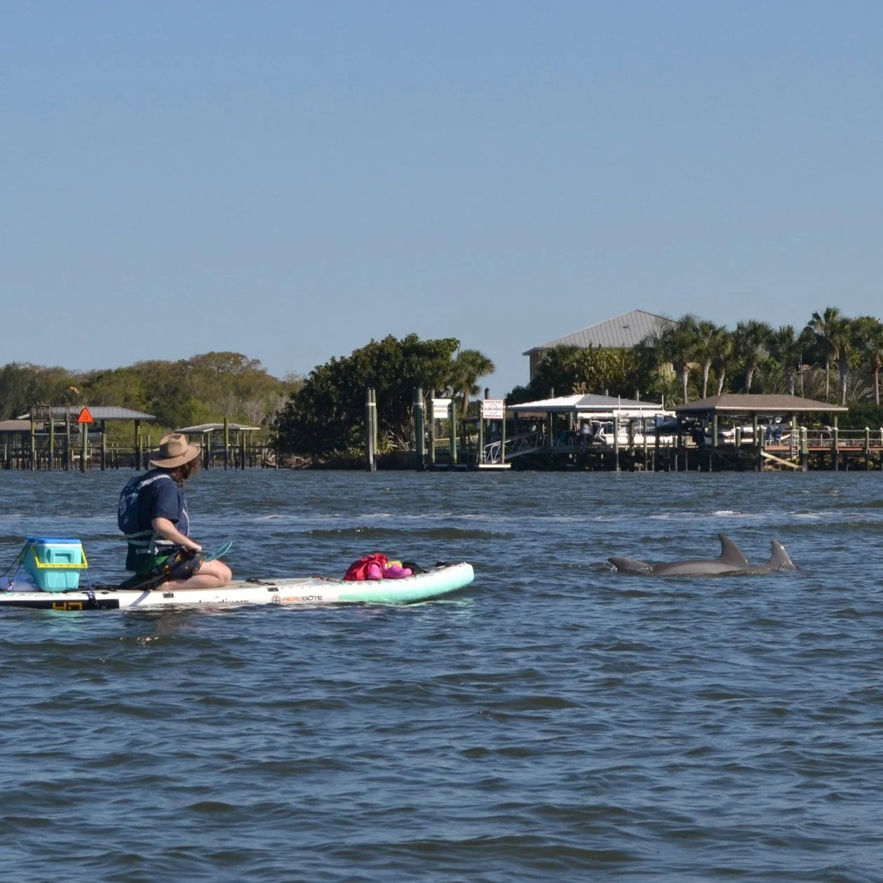 A Paddle in Paradise (Paddle Board / Kayak Eco Tours)