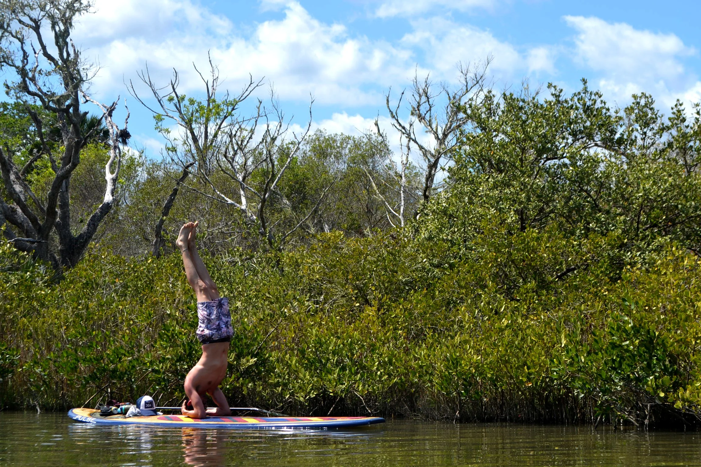 A Paddle in Paradise (Paddle Board / Kayak Eco Tours)