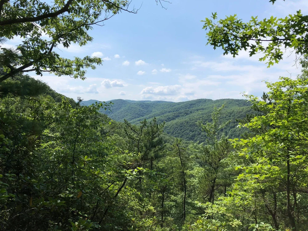 Blue Ridge Scout Reservation Alumni Association