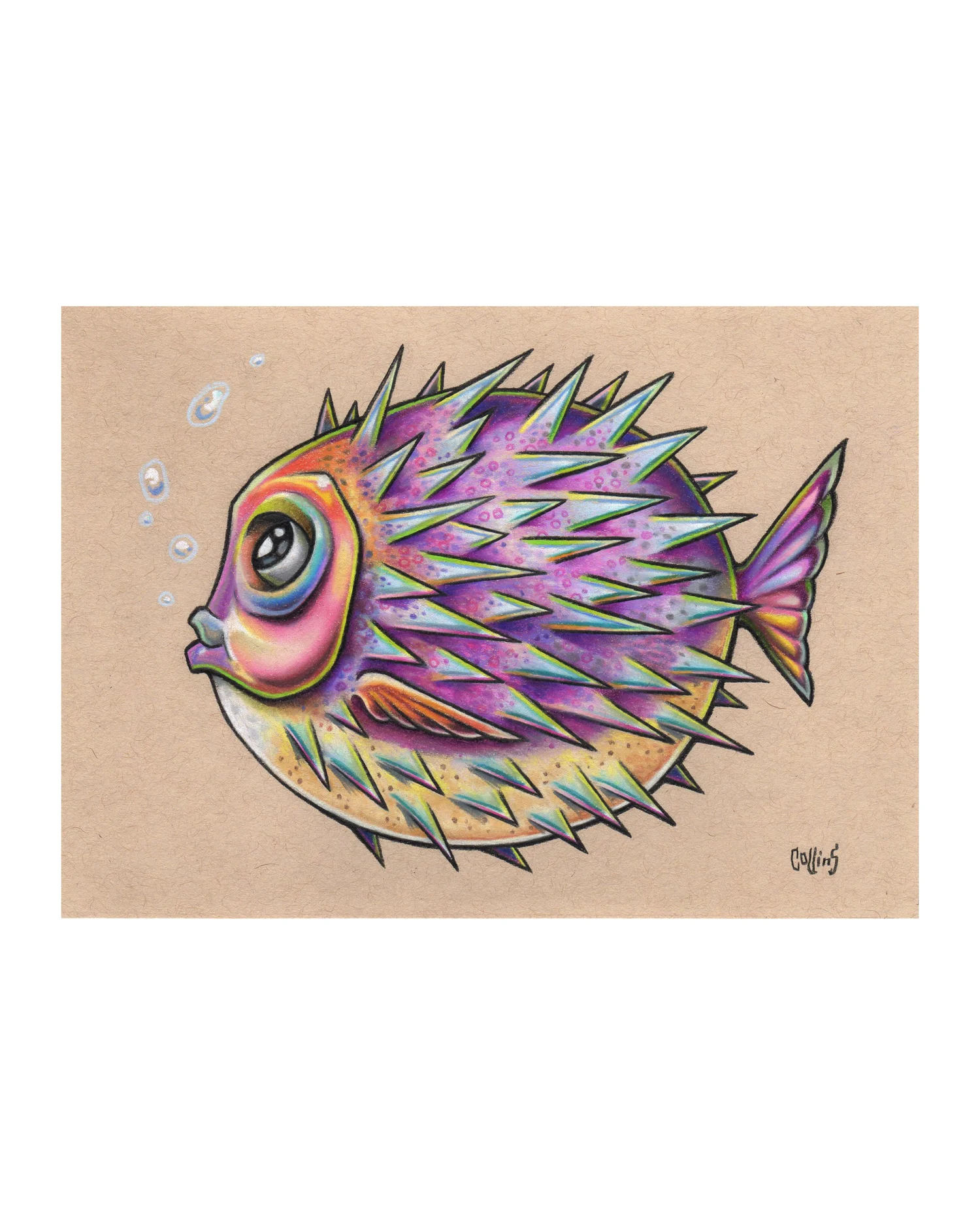 Puffer Fish Drawing