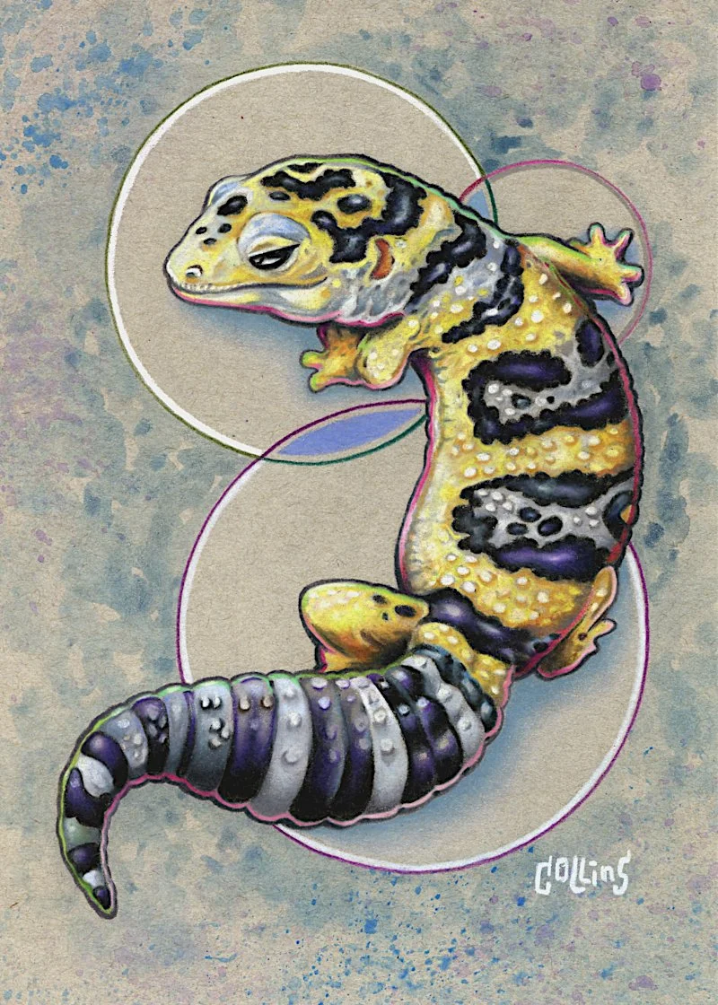 Leopard Gecko Drawing