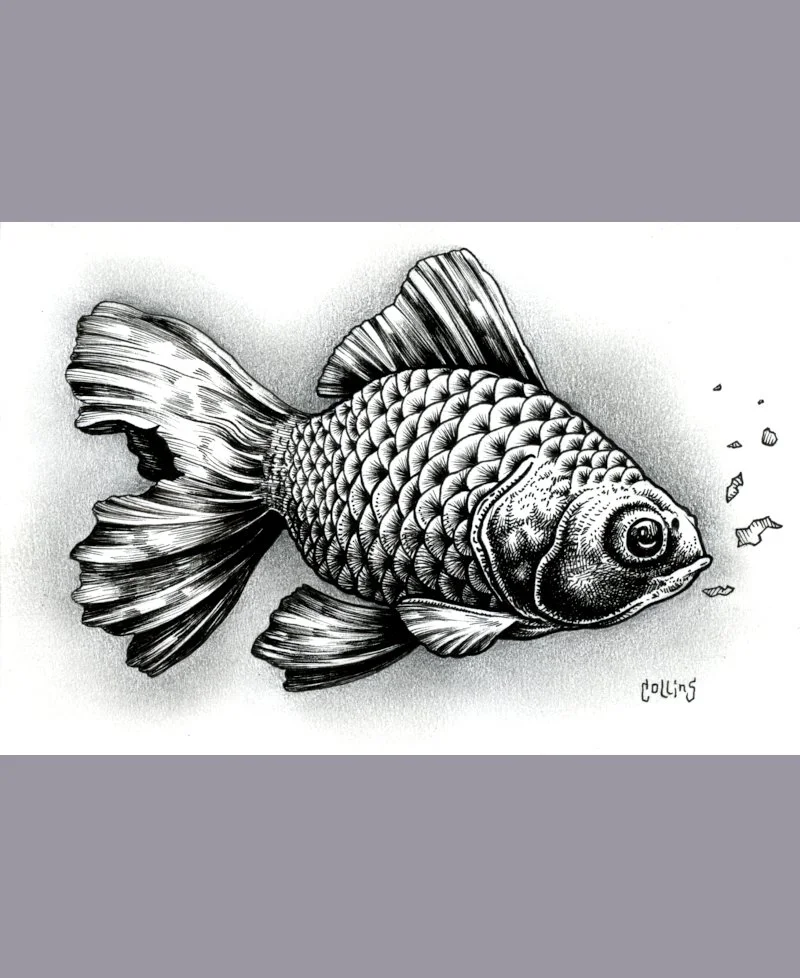 Black Gold Fish