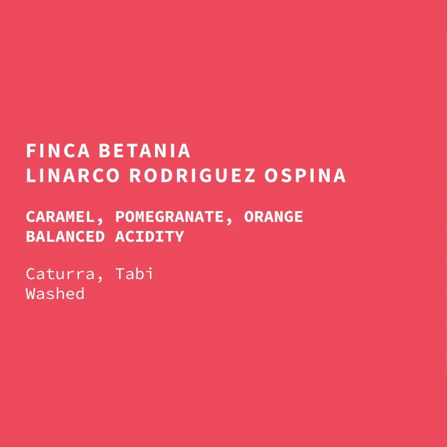 Shop — Idle Hands Roasting Company