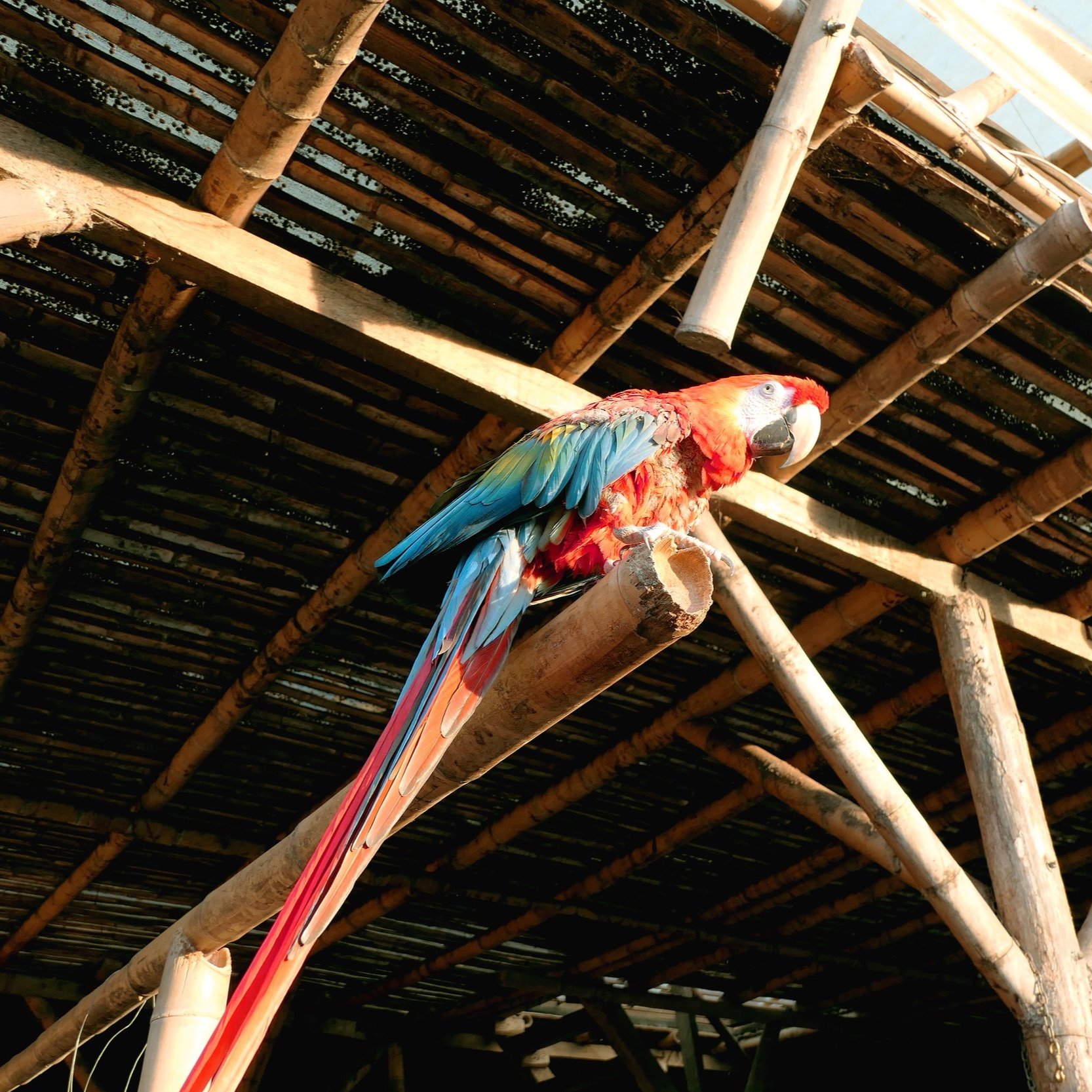 Shop — Idle Hands Roasting Company