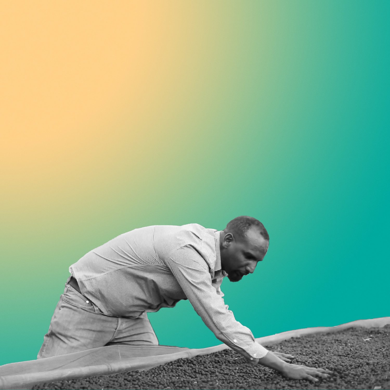 Idle Hands Roasting Company