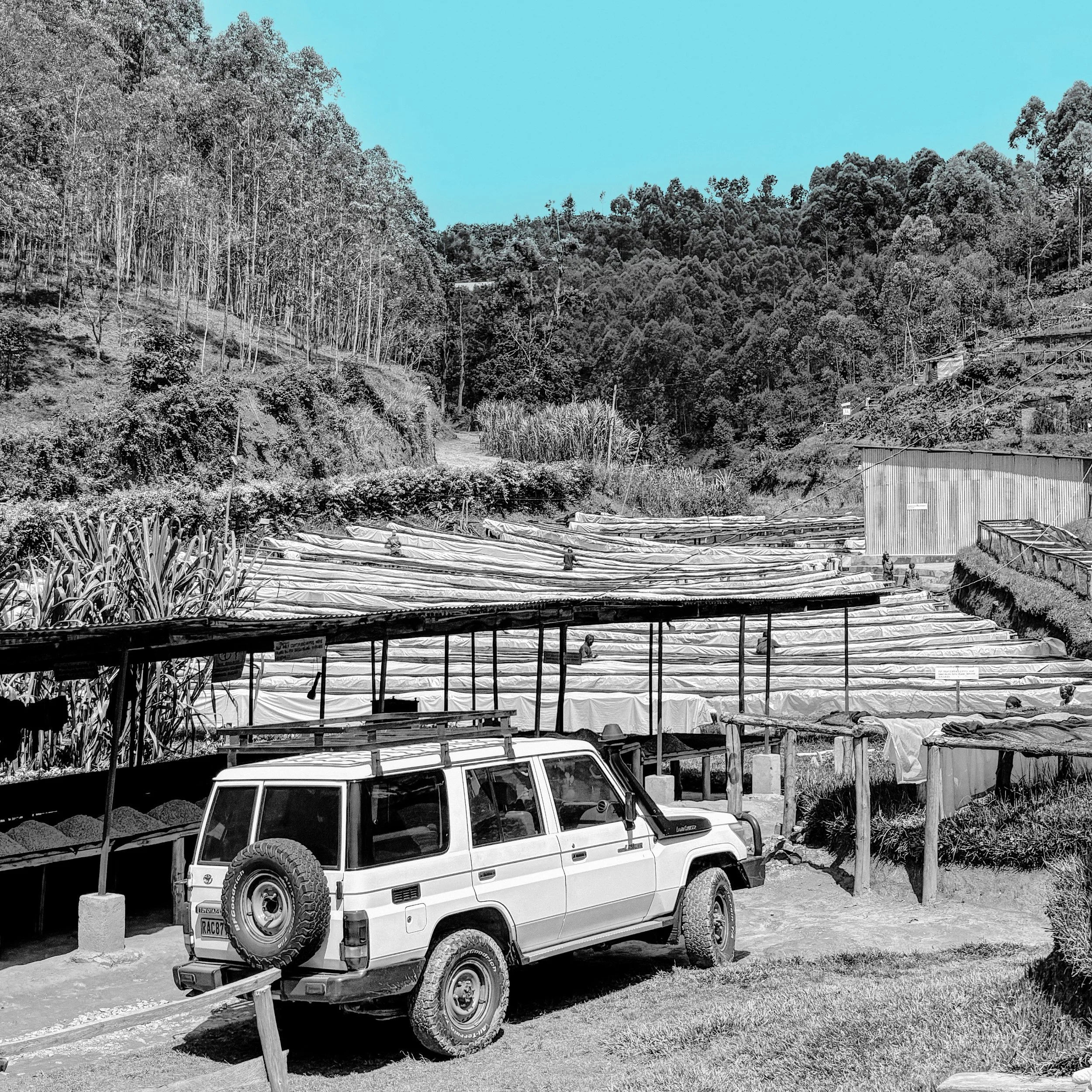 Idle Hands Roasting Company