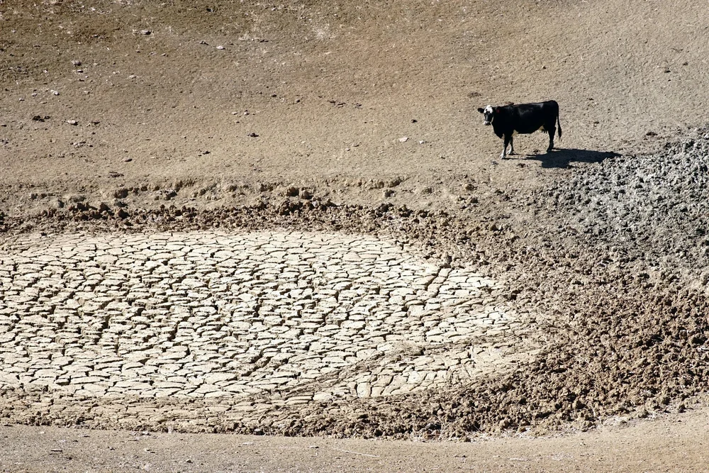 Drought Safety — STM Weather - Full Service Forensic Meteorology Firm