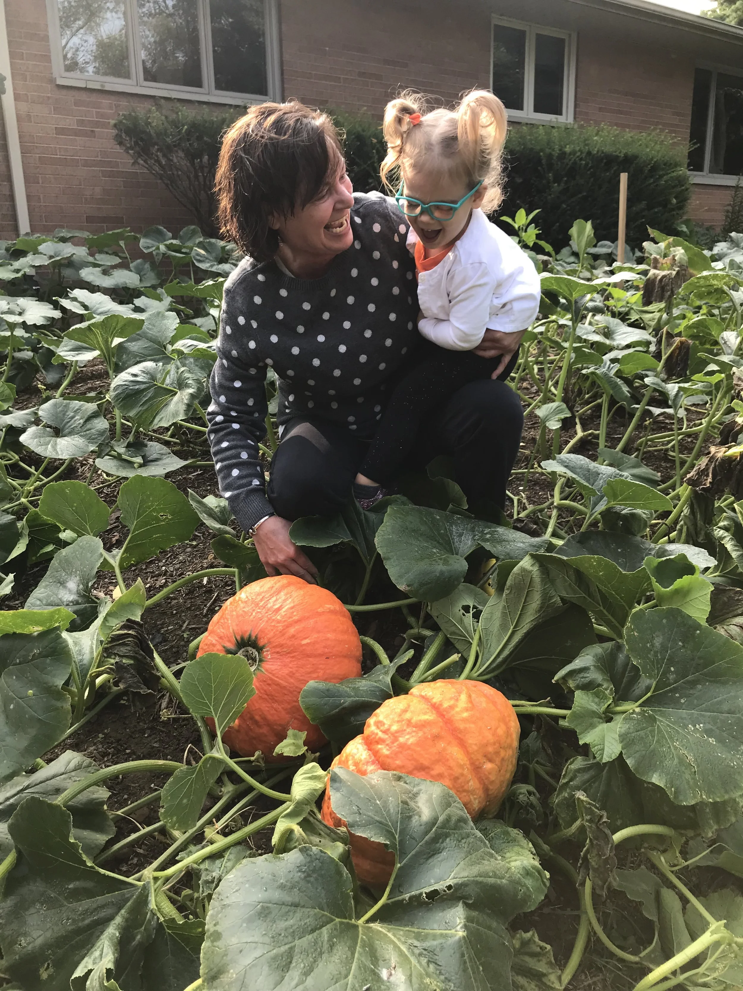 The Great Pumpkin Season — STM Weather - Full Service Forensic ...
