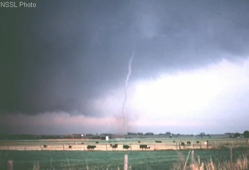 Types of Tornadoes — STM Weather - Full Service Forensic Meteorology Firm
