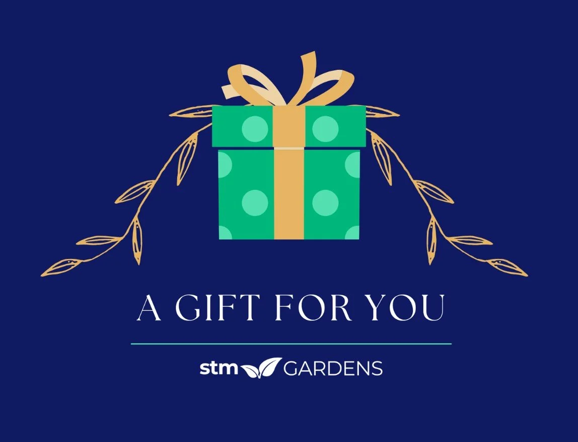 An Updated 2025 Gift Guide for Weather Enthusiasts — STM Weather - Full ...