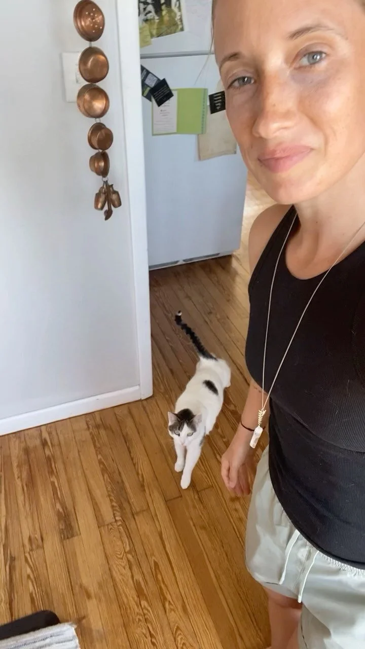 The School of Unlearning Podcast — elisa mary haggarty