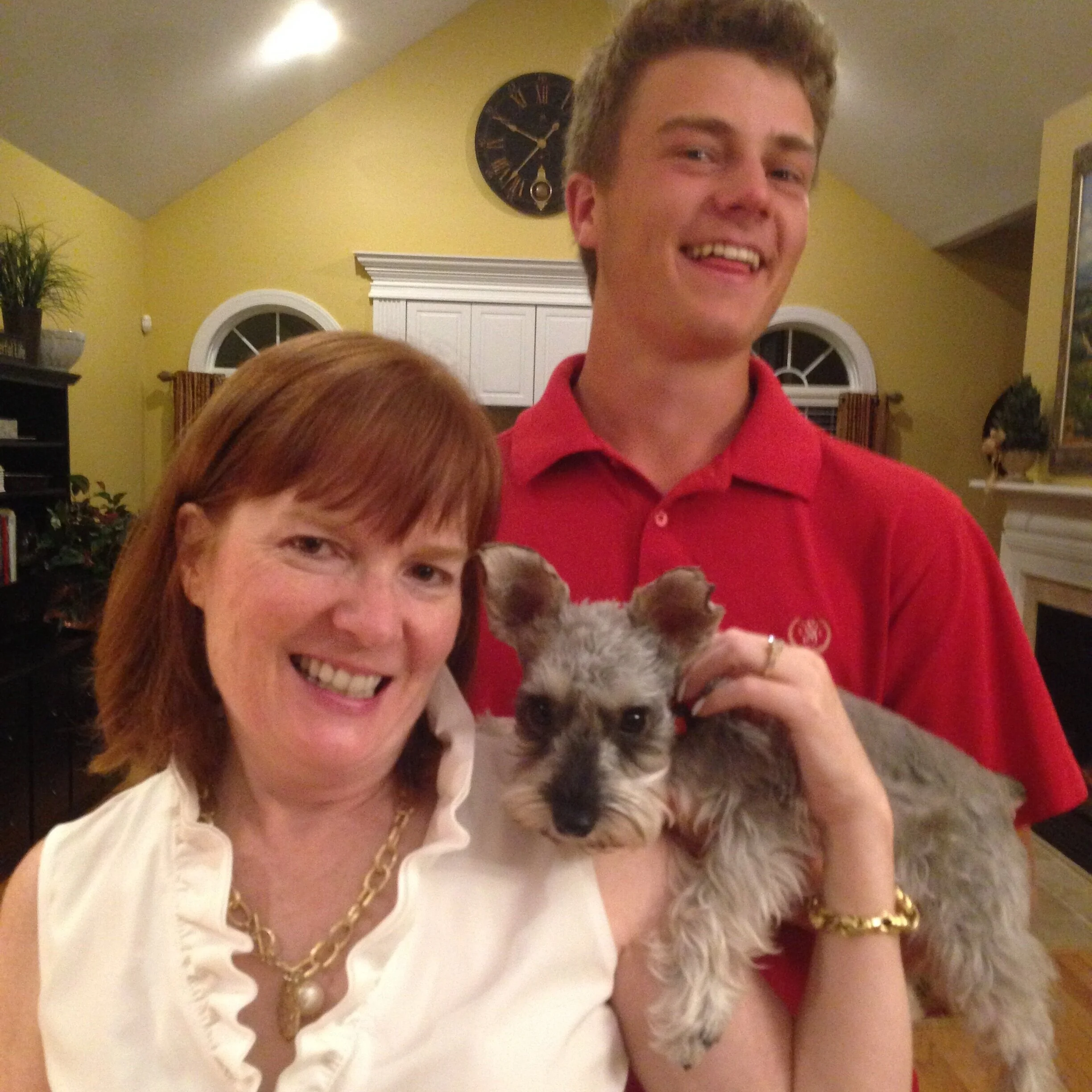 Schnauzer Puppy Family | Find Your Perfect Schnauzer Today — SVCC Mini ...