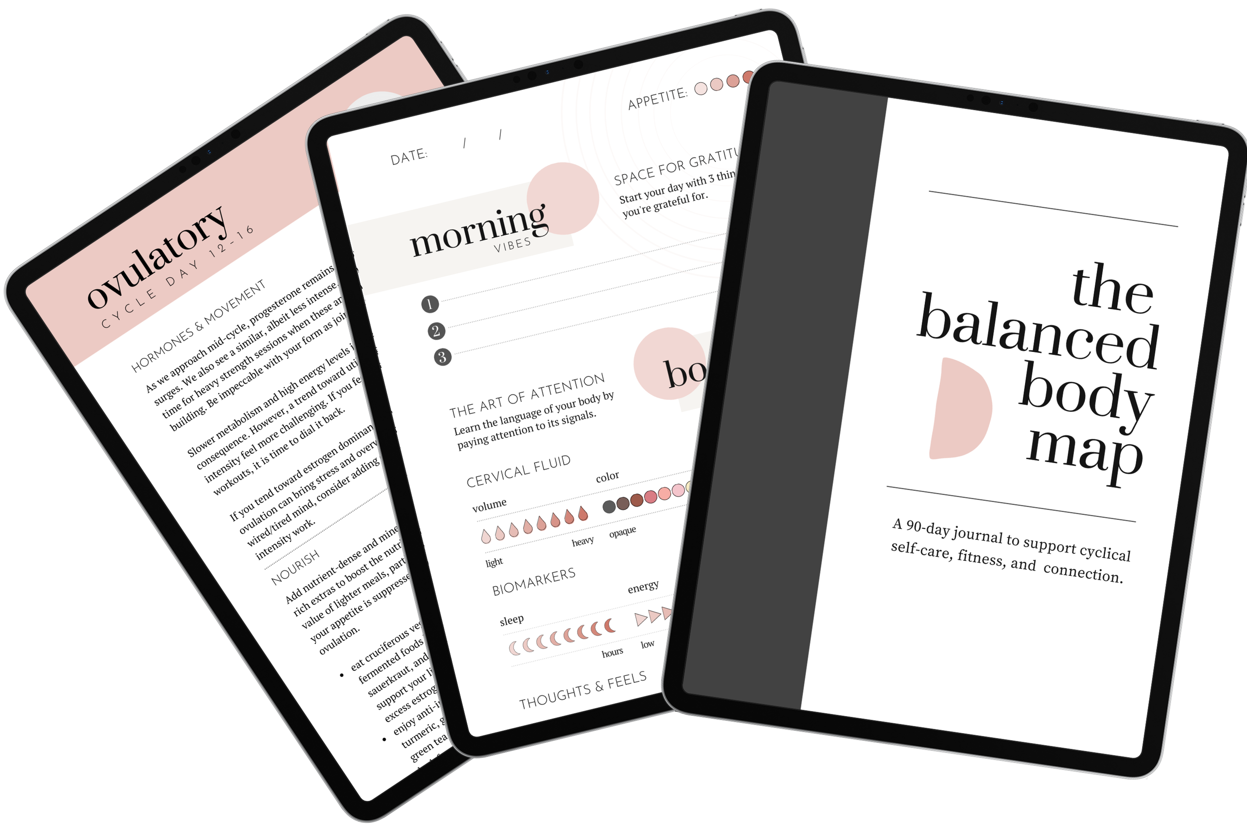 The Balanced Body Map: Cycle Syncing Self-Care & Workout Journal ...