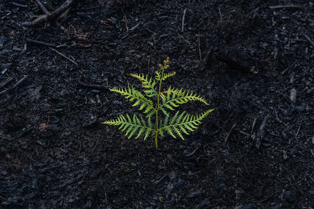 Celebrate Recovery Step Groups and Guidelines — United Methodist Church ...
