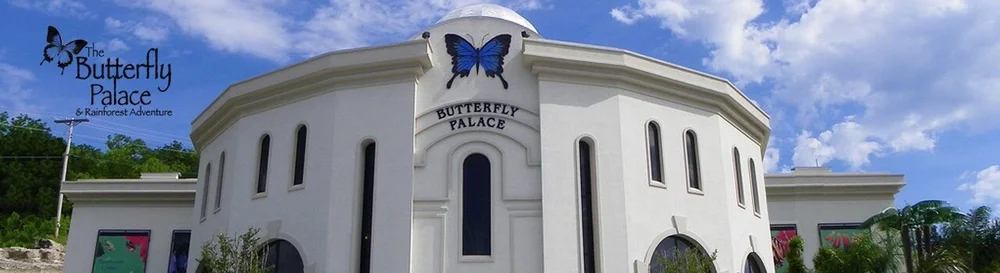 The Butterfly Palace