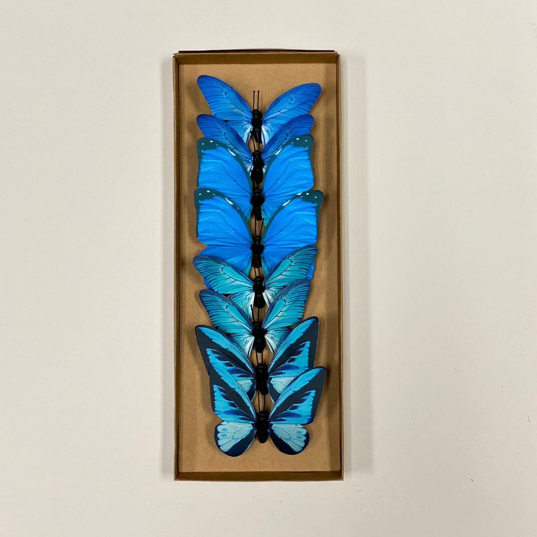 Store 1 — The Butterfly Palace