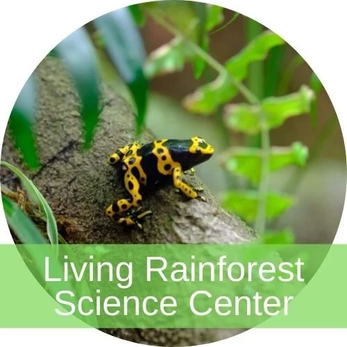 About 4 — The Butterfly Palace