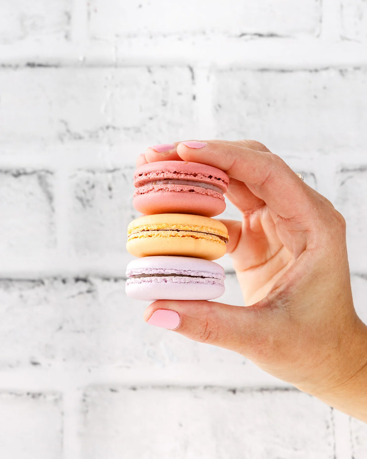 Lens Craving Photography - Photography Miami, FL