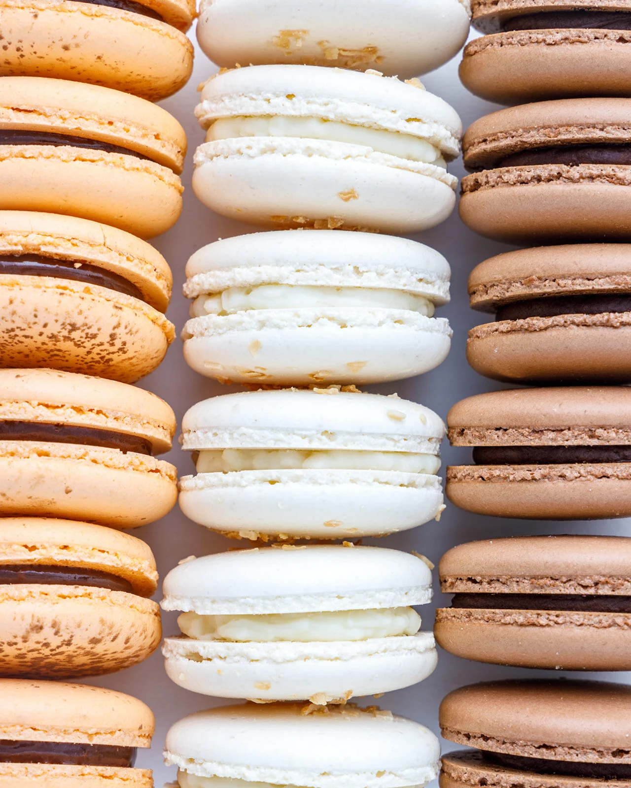 Lens Craving Photography - Photography Miami, FL