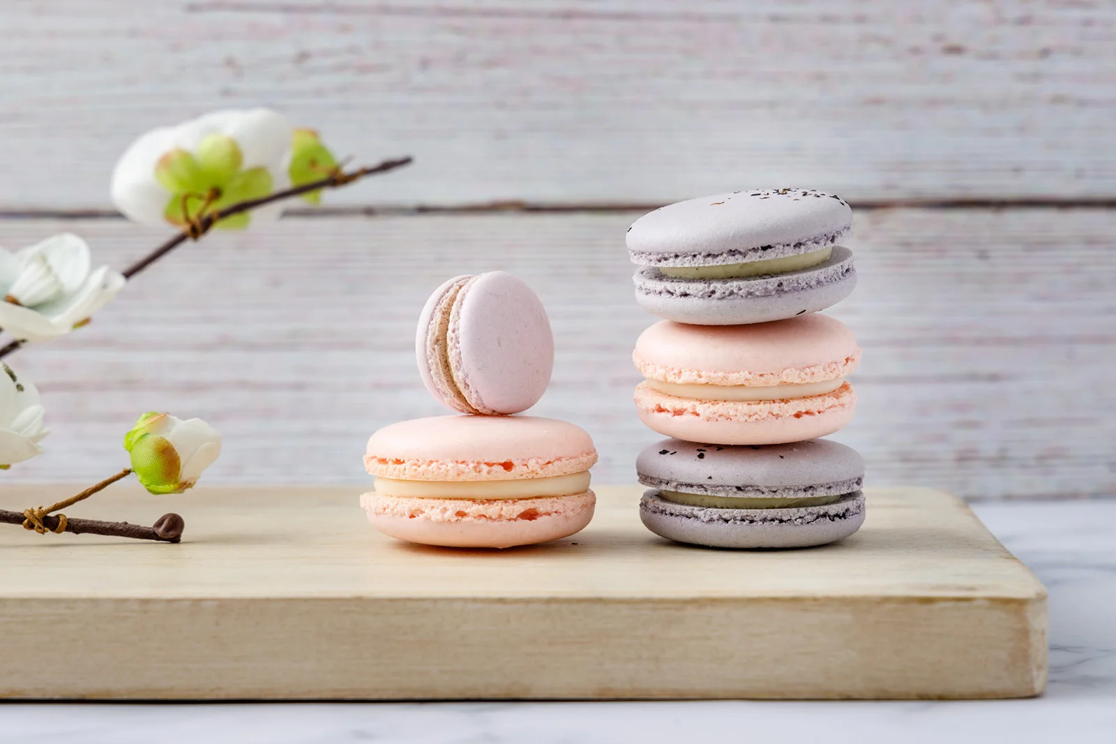 Lens Craving Photography - Photography Miami, FL